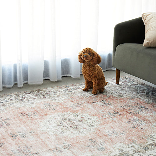 Kindred – Rug Culture